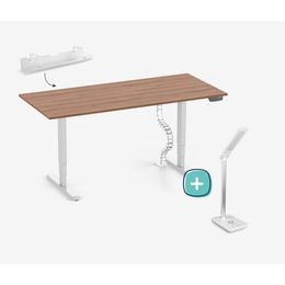 Höhenverstellbarer Schreibtisch PRIMUS + Kabelwanne, Kabelschlange & Schreibtischleuchte - 140x80 - Weiß / Nussbaum - 7 Jahre Garantie