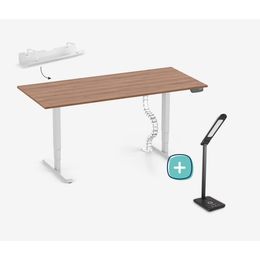 Höhenverstellbarer Schreibtisch PRIMUS + Kabelwanne, Kabelschlange & Schreibtischleuchte - 180x80 - Weiß / Nussbaum - 7 Jahre Garantie