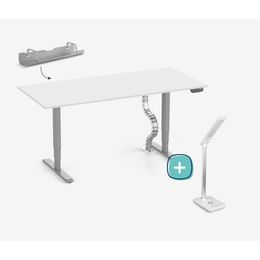 Höhenverstellbarer Schreibtisch PRIMUS + Kabelwanne, Kabelschlange & Schreibtischleuchte - 140x80 - Grau / Lichtgrau - 7 Jahre Garantie