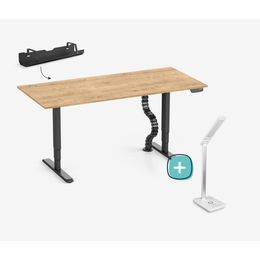 Höhenverstellbarer Schreibtisch PRIMUS + Kabelwanne, Kabelschlange & Schreibtischleuchte - 180x80 - Schwarz / Eiche - 7 Jahre Garantie