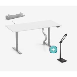 Höhenverstellbarer Schreibtisch PRIMUS + Kabelwanne, Kabelschlange & Schreibtischleuchte - 160x80 - Grau / Lichtgrau - 7 Jahre Garantie
