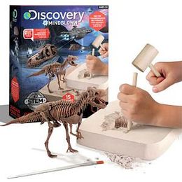 Discovery™ MINDBLOWN Ausgrabungsset T-Rex mehrfarbig