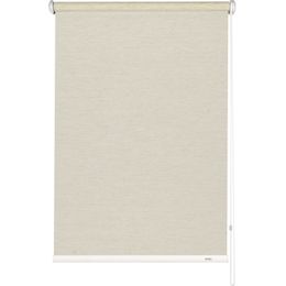 Seitenzugrollo Gardinia "Uni-Rollo" Rollos Gr. 180 cm, 202 cm, beige (naturfarben) Seitenzugrollos