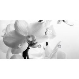 queence Garderobenleiste Flower (1 St), inkl. 3 Edelstahlhaken und Aufhängung, schwarz|weiß