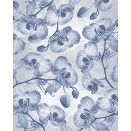 Komar Vliestapete "Orchidée" Tapeten Gr. B/L: 200 m x 250 m, Rollen: 1 St., blau (blau, weiß) Blumentapeten