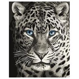 buttinette Malen nach Zahlen auf Leinwand "Leopard", 40 x 50 cm