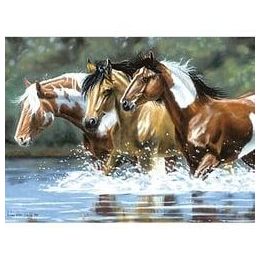 Malen nach Zahlen mit Acrylfarben "Pferde", 40 x 30 cm