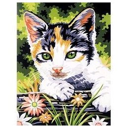buttinette Malen nach Zahlen mit Acrylfarben "Katze", 23 x 30,5 cm