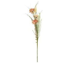 buttinette Wiesenblumen Pick, apricot, 70 cm