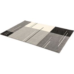 Teppich Astra "Samoa" Teppiche Gr. B/L: 80 cm x 150 cm, 20 mm, 1 St., grau Esszimmerteppiche