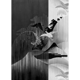 Komar Vliestapete "Yin Yang" Tapeten Gr. B/L: 200 m x 280 m, Rollen: 1 St., schwarz (schwarz, weiß) Blumentapeten
