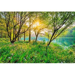 Komar Fototapete "Spring Lake" Tapeten Gr. B/L: 368 m x 254 m, Rollen: 8 St., grün Fototapeten Meer