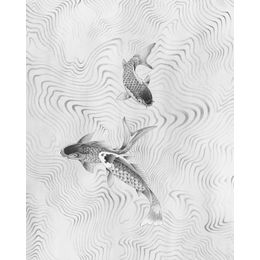 Komar Vliestapete "Perfect Pond" Tapeten Gr. B/L: 200 m x 250 m, Rollen: 1 St., schwarz (schwarz, weiß) Vliestapeten