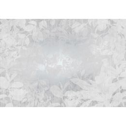 Komar Vliestapete "Flora" Tapeten Gr. B/L: 400 m x 280 m, Rollen: 1 St., grau (silber, grau, weiß) Blumentapeten