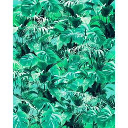 Komar Vliestapete "Evergreen" Tapeten Gr. B/L: 200 m x 250 m, Rollen: 1 St., grün Vliestapeten