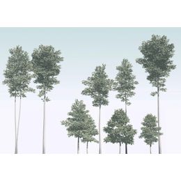 Komar Vliestapete "Pines" Tapeten Gr. B/L: 400 m x 280 m, Rollen: 1 St., bunt (grün, blau, weiß) Blumentapeten