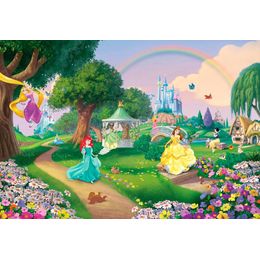 Komar Fototapete "Disney Princess Rainbow" Tapeten Gr. B/L: 368 m x 254 m, Rollen: 8 St., bunt Fototapeten Comic