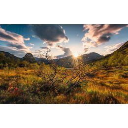 Komar Vliestapete "Norwegische Herbstwelten" Tapeten Gr. B/L: 450 m x 280 m, Rollen: 1 St., bunt Vliestapeten