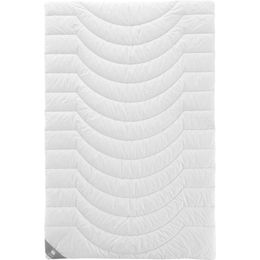 Kunstfaserbettdecke Musterring "Moonz" Bettdecken Gr. B/L: 155 cm x 220 cm, normal, weiß Steppbettdecke