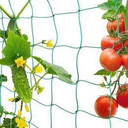 Gartennetz, Kletterpflanzennetz, Rudernetz zum Ernten von Gurken, Gemüse, Tomaten und anderem Gemüse, Befestigungsnetz für Kletterpflanzen (1,8 x 5 m)