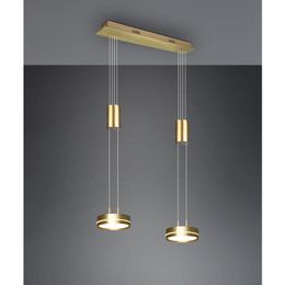 Trio Leuchten - led Pendelleuchte franklin höhenverstellbar 2-flammig in Messing, 55cm