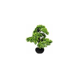 Kaiserkraft - 570355 Bonsai Lärche mit Kies im Keramiktopf