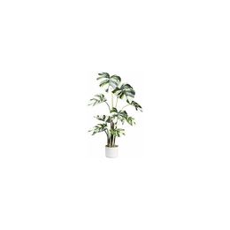 734754 Monstera variegata Melamintopf 2er-Set - Kaiserkraft