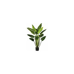 Kaiserkraft - 570338 Philodendron im Kunststofftopf mit