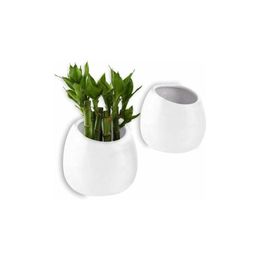 Amirror Smart Ug - Wandmontierter Blumentopf, weiß, 10 cm, Keramik, 2er-Set, Wanddekoration für Wohnzimmer, Haus, Garten, Abendparty, Weihnachten und