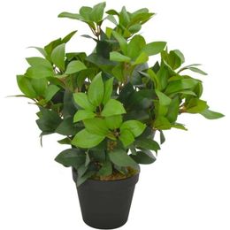 HOMMOO - Künstliche Pflanze Lorbeerbaum mit Topf Grün 40 cm VD22328