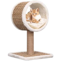 LONGZIMING Katzen-Kratzbaum mit Tunnel und Spielzeug 56 cm Seegras