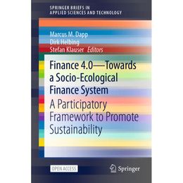 Springer Finance 4.0 - Towards a Socio-Ecological Finance System, Kartoniert (TB)