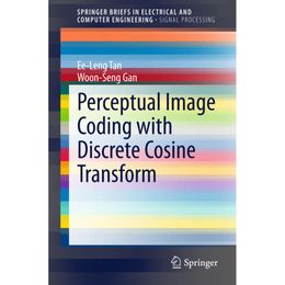 Springer Nature Perceptual Image Coding with Discrete Cosine Transform - Ee-Leng Tan, Woon-Seng Gan, Kartoniert (TB)