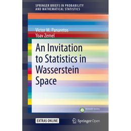 An Invitation to Statistics in Wasserstein Space - Victor M. Panaretos, Yoav Zemel, Kartoniert (TB)