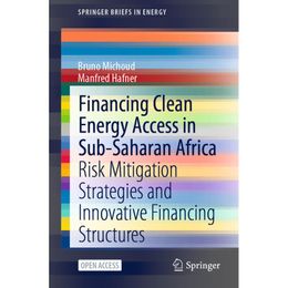Springer Financing Clean Energy Access in Sub-Saharan Africa - Bruno Michoud, Manfred Hafner, Kartoniert (TB)