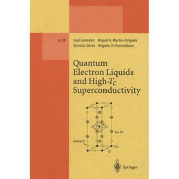 Quantum Electron Liquids and High-Tc Superconductivity - Jose Gonzalez, Miguel A. Martin-Delgado, German Sierra, Angeles H. Vozmediano, Kartoniert (TB)
