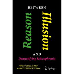 Between Reason and Illusion - Jorge Cândido de Assis, Cecília Cruz Villares, Rodrigo Affonseca Bressan, Kartoniert (TB)