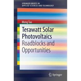 Springer Terawatt Solar Photovoltaics - Meng Tao, Kartoniert (TB)