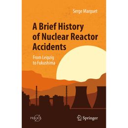 Springer International Publishing A Brief History of Nuclear Reactor Accidents - Serge Marguet, Kartoniert (TB)