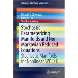 Springer International Publishing Stochastic Parameterizing Manifolds and Non-Markovian Reduced Equations - Mickaël D. Chekroun, Honghu Liu, Shouhong Wang, Kartoniert (TB)