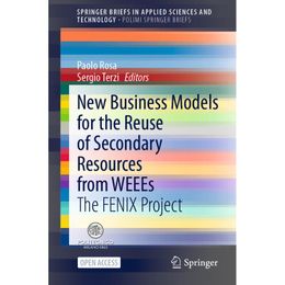 Springer New Business Models for the Reuse of Secondary Resources from WEEEs, Kartoniert (TB)