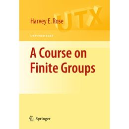 Springer A Course on Finite Groups - H.E. Rose, Kartoniert (TB)