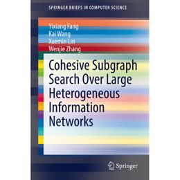 Springer International Publishing Cohesive Subgraph Search Over Large Heterogeneous Information Networks - Yixiang Fang, Kai Wang, Xuemin Lin, Wenjie Zhang, Kartoniert (TB)