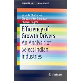 Springer Efficiency of Growth Drivers - Susmita Chatterjee, Dhrubaranjan Dandapat, Bhaskar Bagchi, Kartoniert (TB)