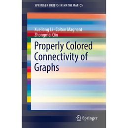 Springer International Publishing Properly Colored Connectivity of Graphs - Xueliang Li, Colton Magnant, Zhongmei Qin, Kartoniert (TB)