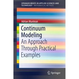 Continuum Modeling - Adrian Muntean, Kartoniert (TB)