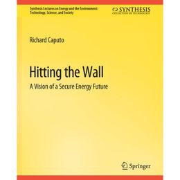 Hitting the Wall - Richard Caputo, Kartoniert (TB)