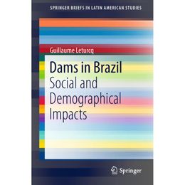 Springer International Publishing Dams in Brazil - Guillaume Leturcq, Kartoniert (TB)