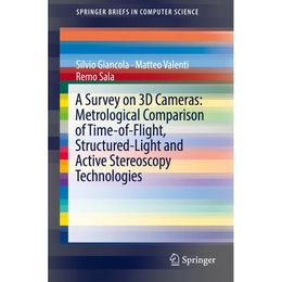 Springer International Publishing A Survey on 3D Cameras: Metrological Comparison of Time-of-Flight, Structured-Light and Active Stereoscopy Technologies - Silvio Giancola, Matteo Valenti, Remo Sala, Kartoniert (TB)