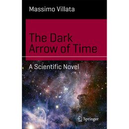 Springer International Publishing The Dark Arrow of Time - Massimo Villata, Kartoniert (TB)